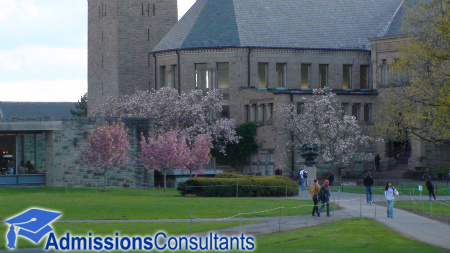 Top Summer Enrichment Programs for College Applicants